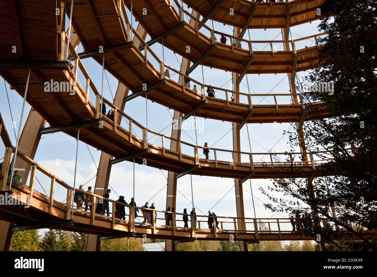 Tree-top walk, Neuschoenau, Bavarian Forest National Park, Lower ...