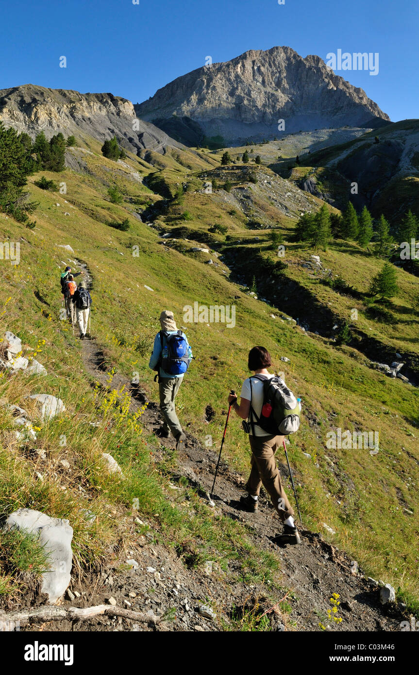 Hiking, trekking group on an alpine trail below Mt. Tete de Boulonne ...