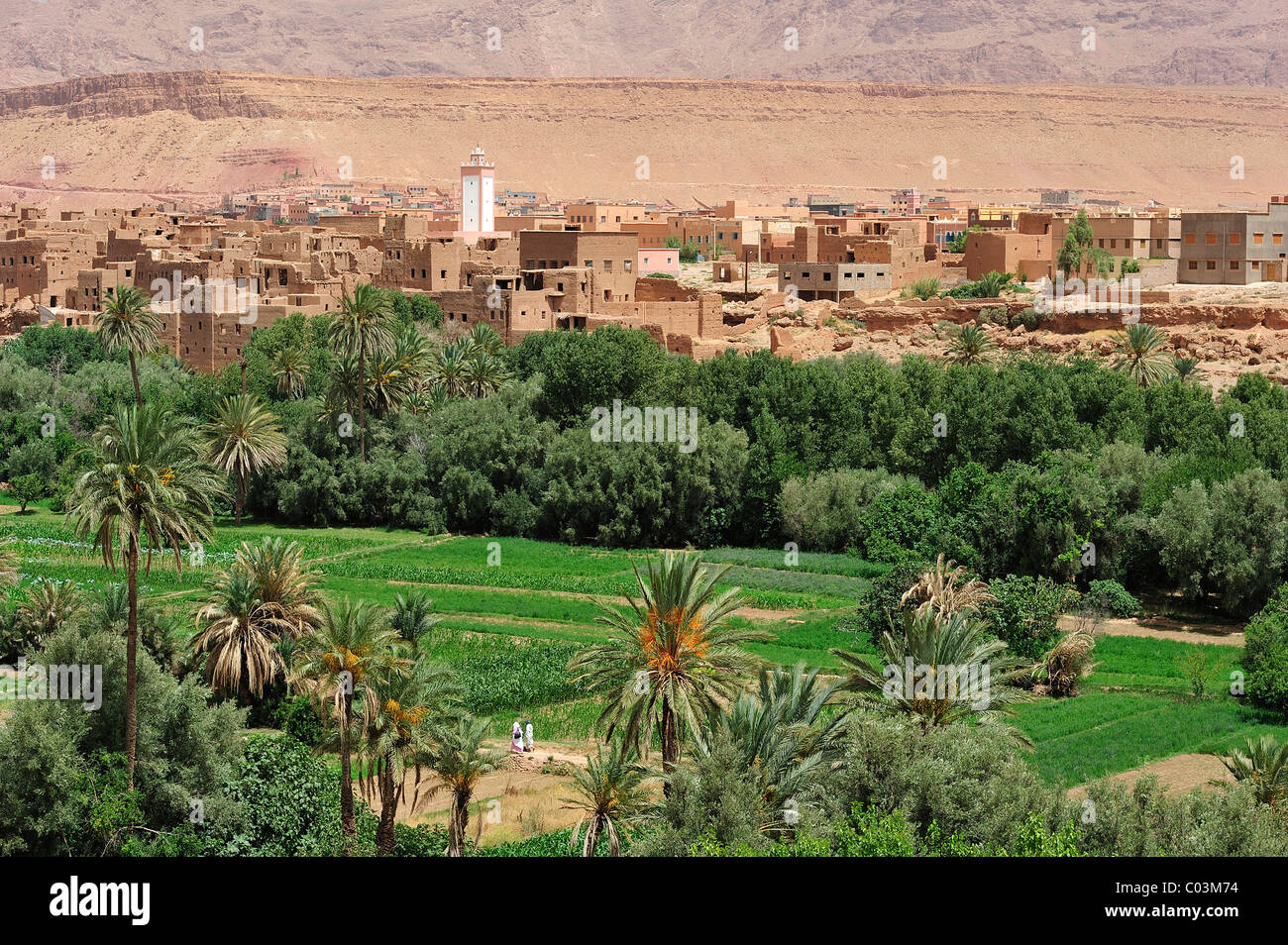 Oasis landscape with date palms and fields, Tinehir or Tinerhir with ...