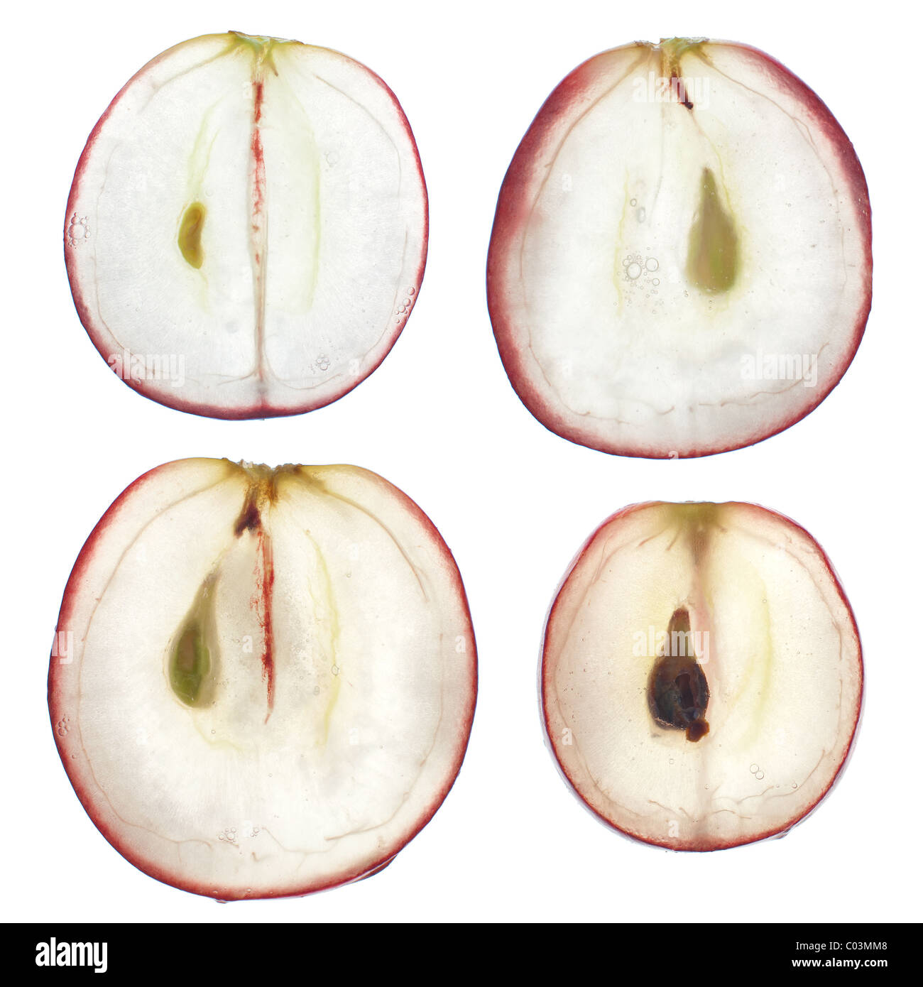 Translucent slice of red grape fruit, macro isolated on white Stock ...