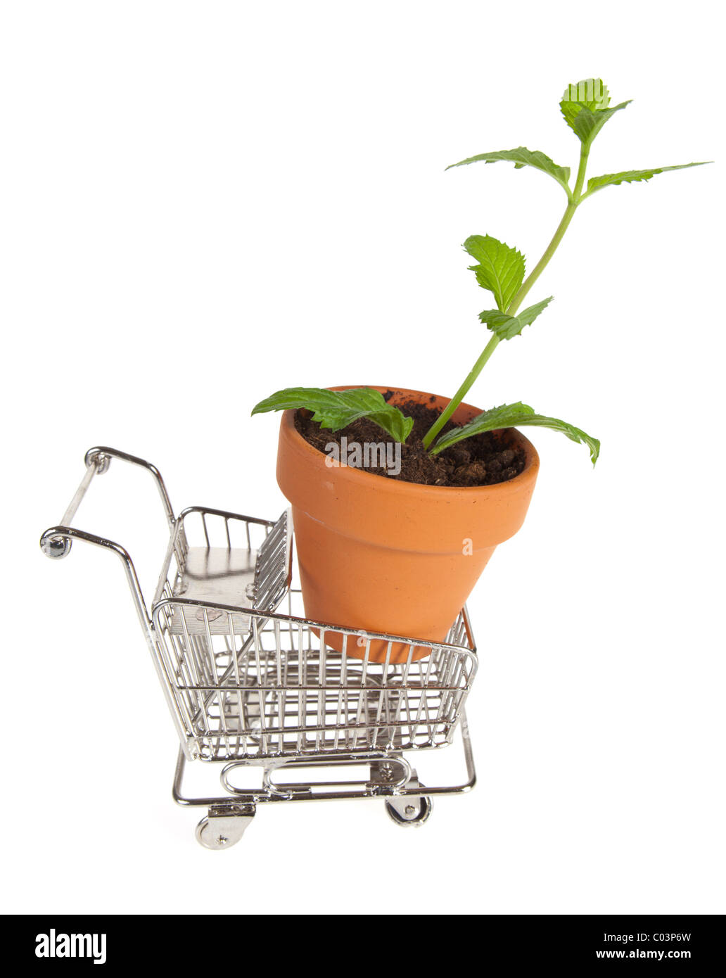 Shopping cart with a growing plant as ecology symbol Stock Photo - Alamy