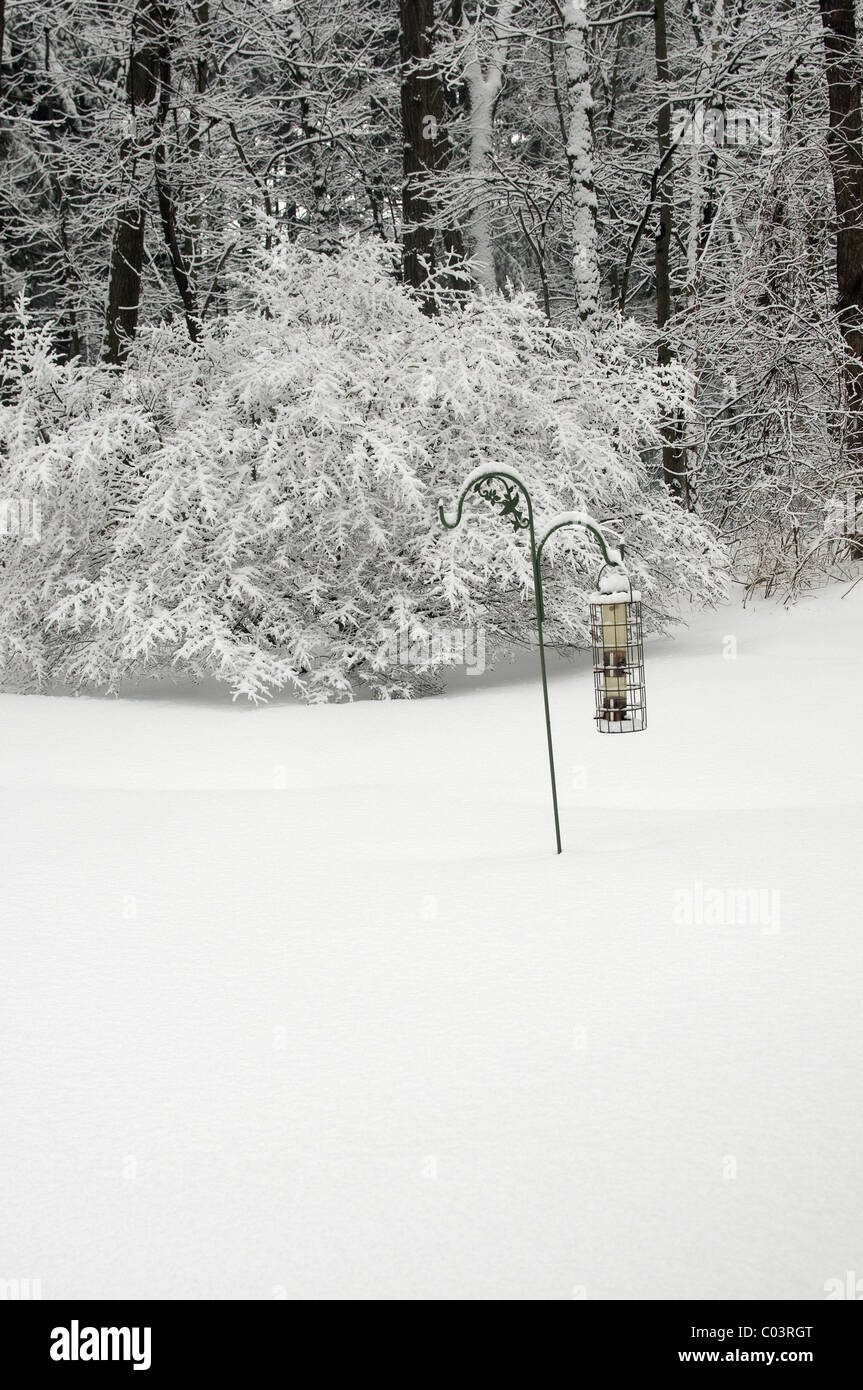 Snowy winter scene Stock Photo - Alamy
