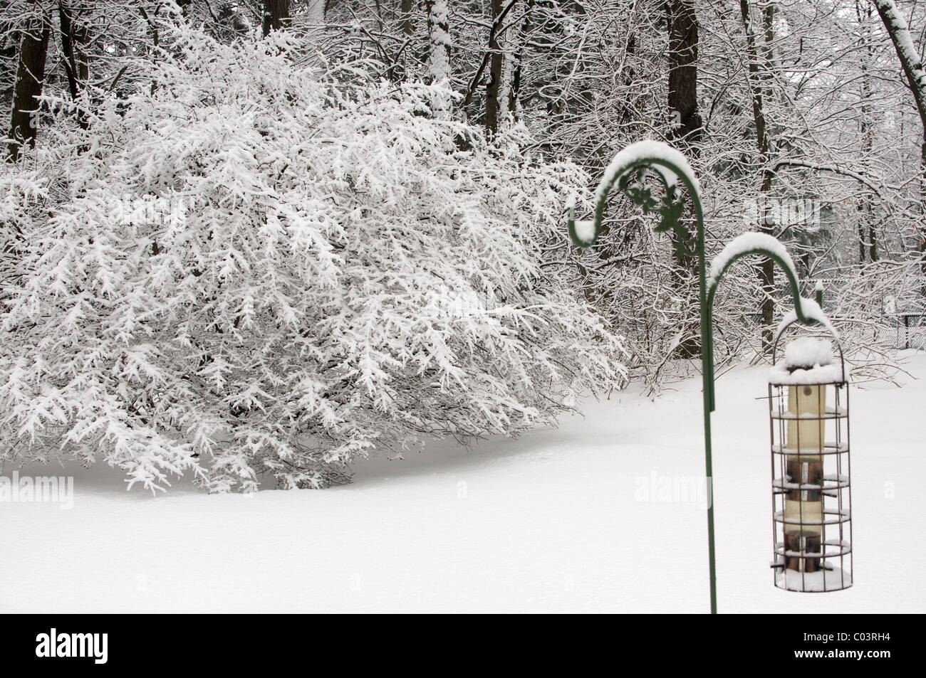 Snowy winter scene Stock Photo - Alamy