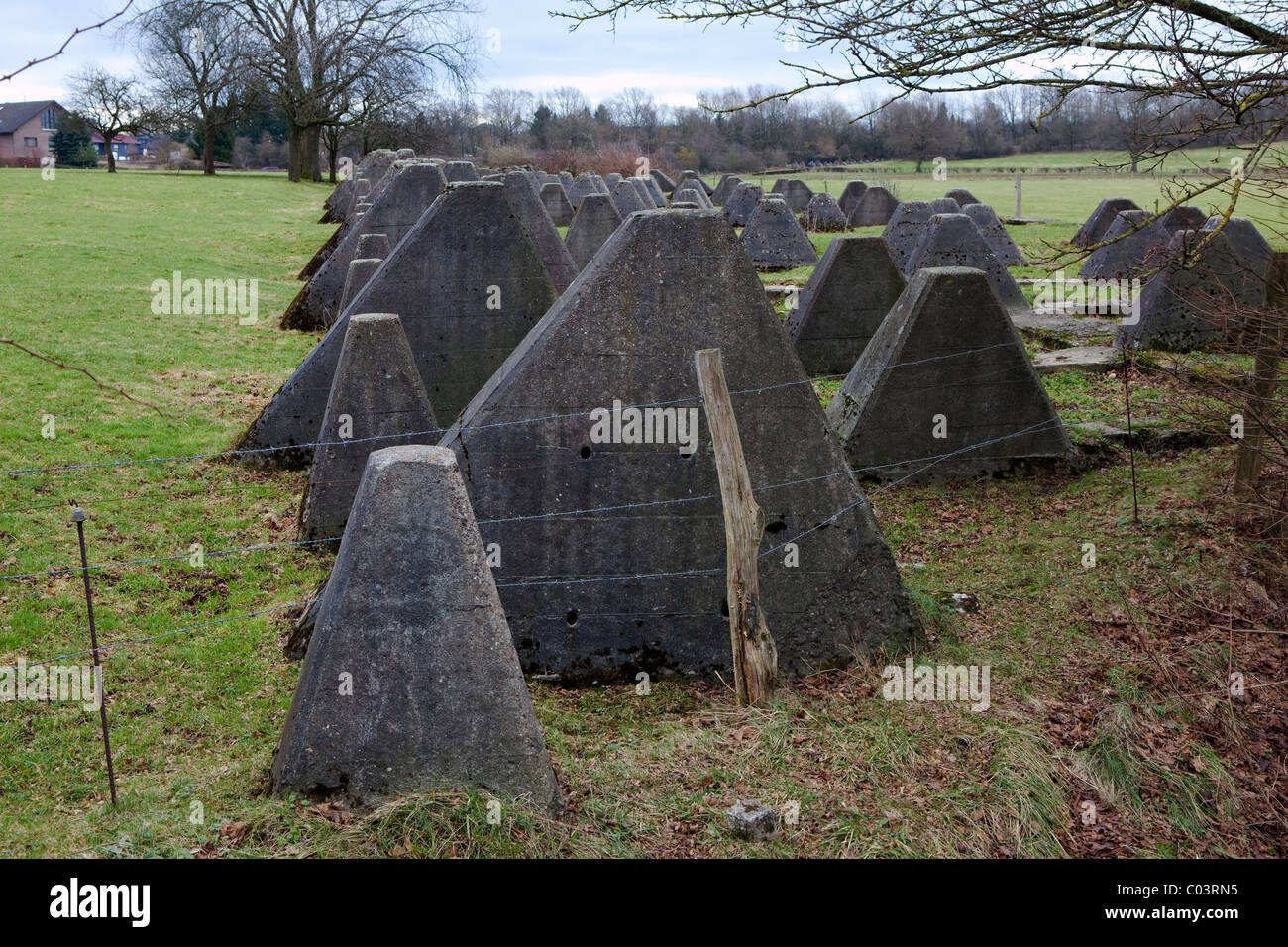 Concrete Dragons Teeth, or Drachenzähne, remains of the World War 2 ...