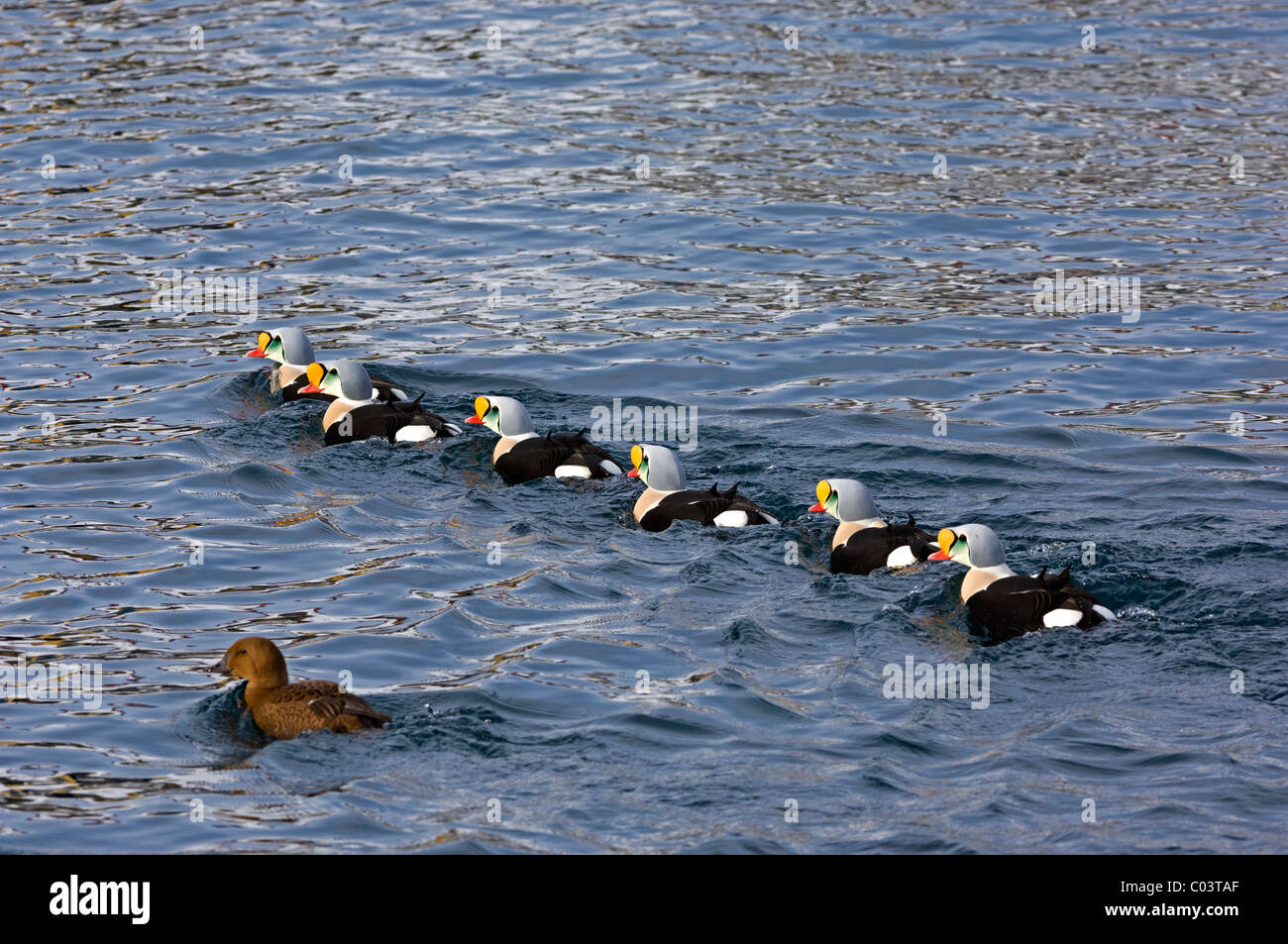 Full astern hi-res stock photography and images - Alamy