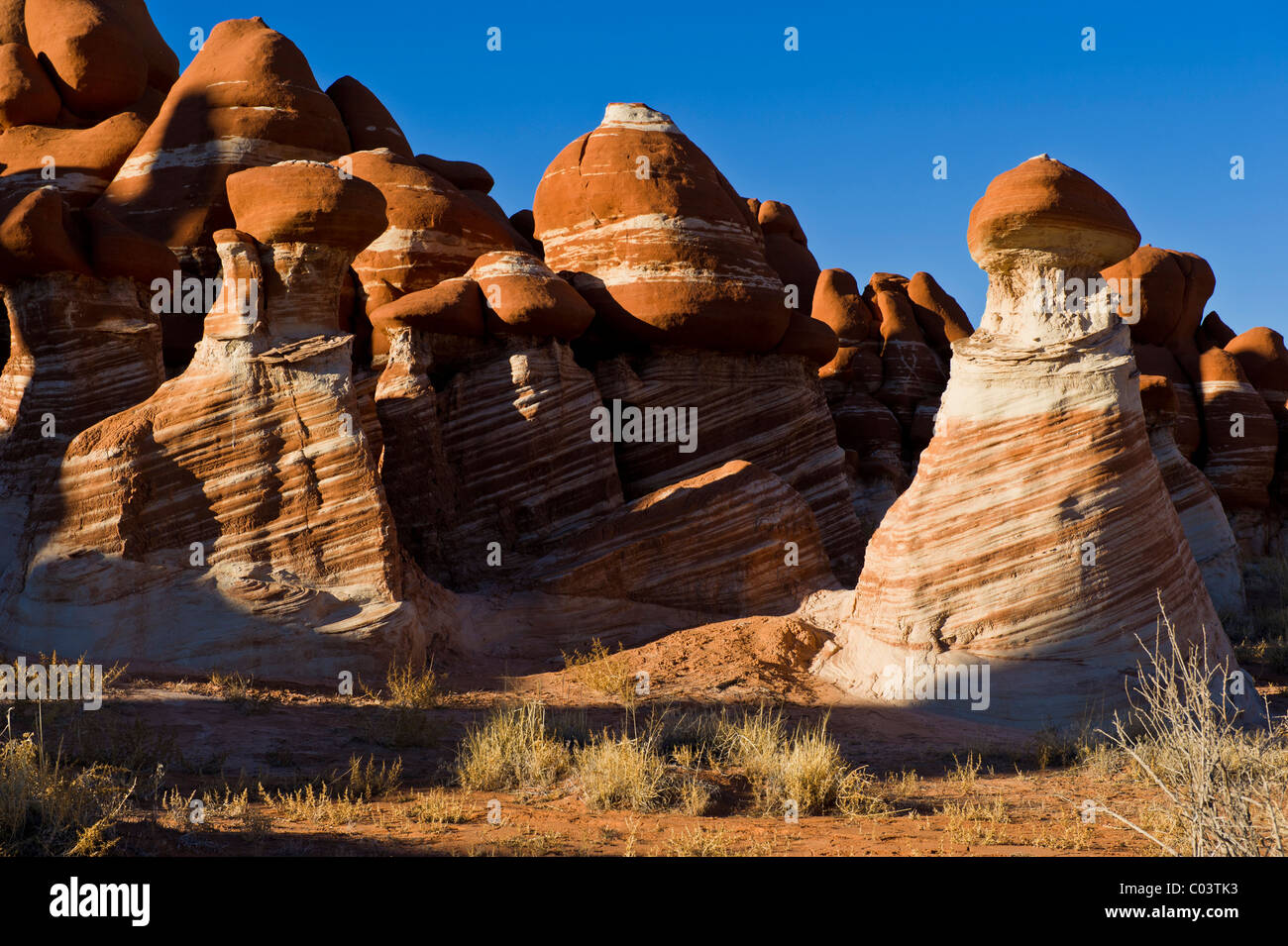 Brilliant coloring hi-res stock photography and images - Alamy