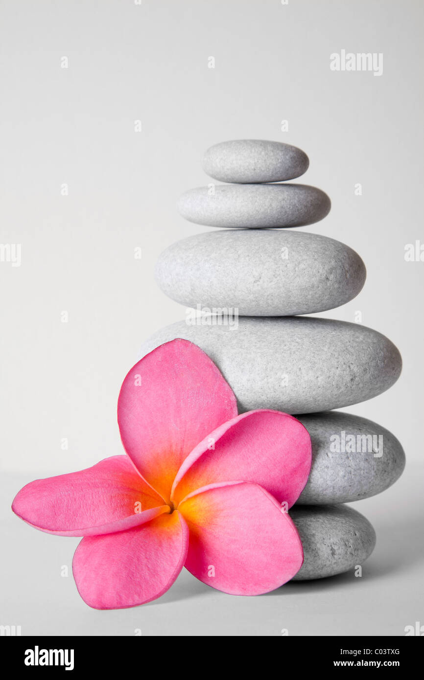 Flower stack hi-res stock photography and images - Alamy