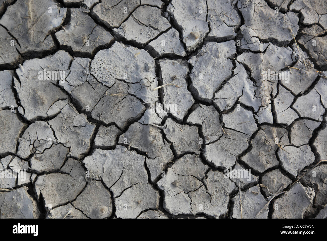 Cracked ground for background Stock Photo - Alamy