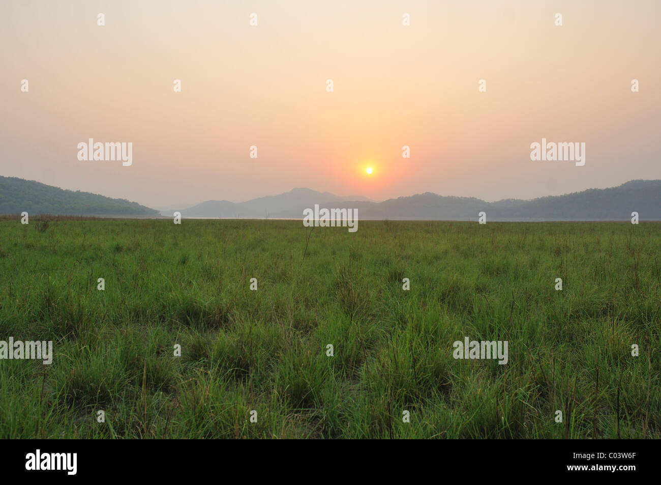 Jim corbett tiger reserve hi-res stock photography and images - Alamy