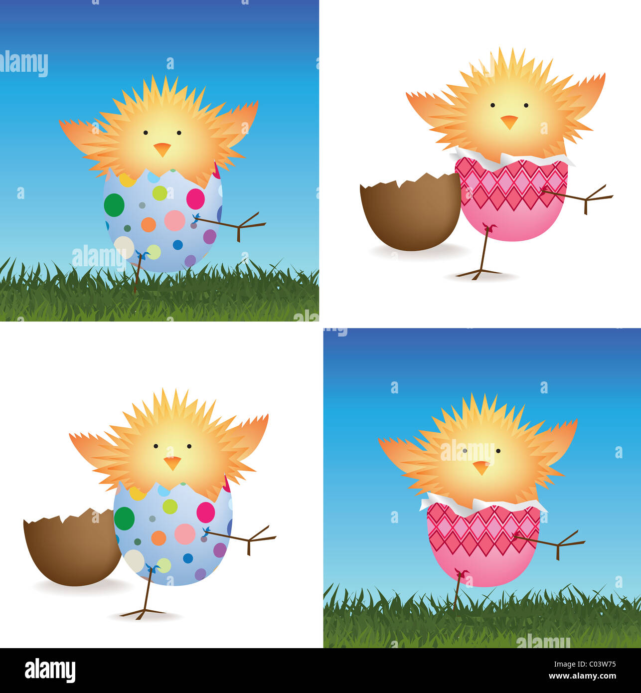 chick hatching from an easter egg Stock Photo - Alamy