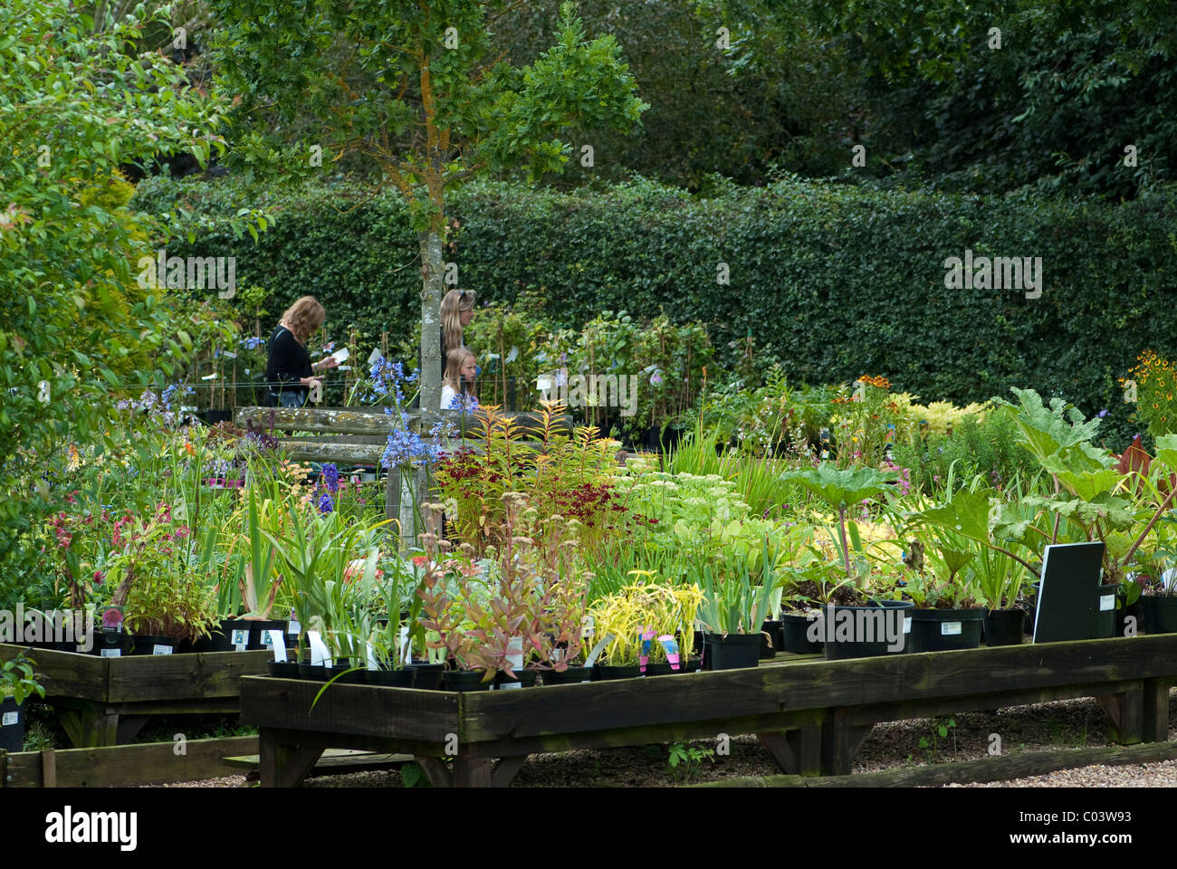 Garden Center plant display Stock Photo - Alamy
