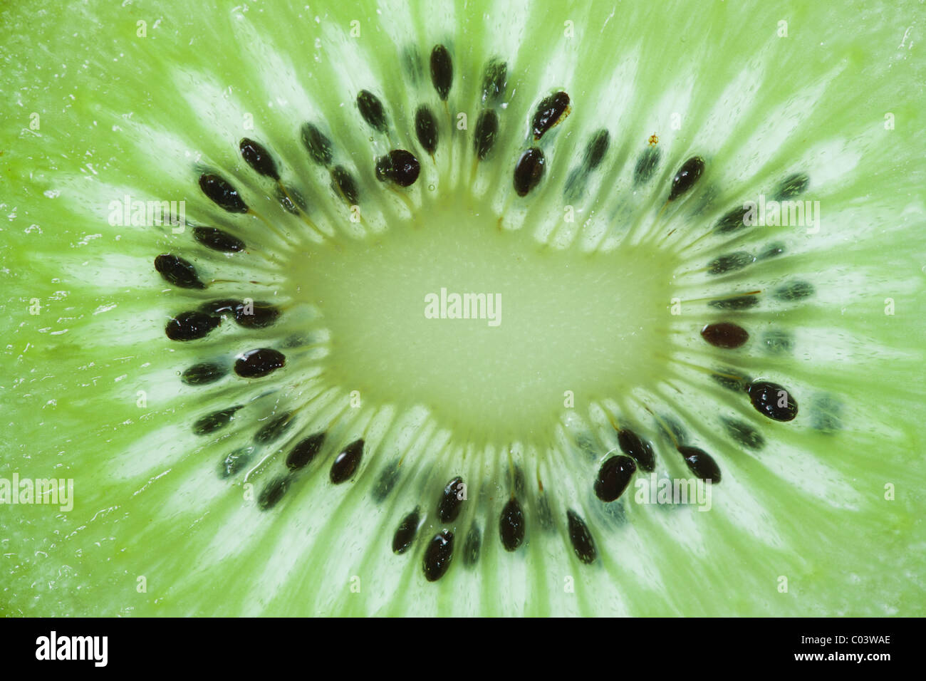 Extreme close up kiwi hi-res stock photography and images - Alamy