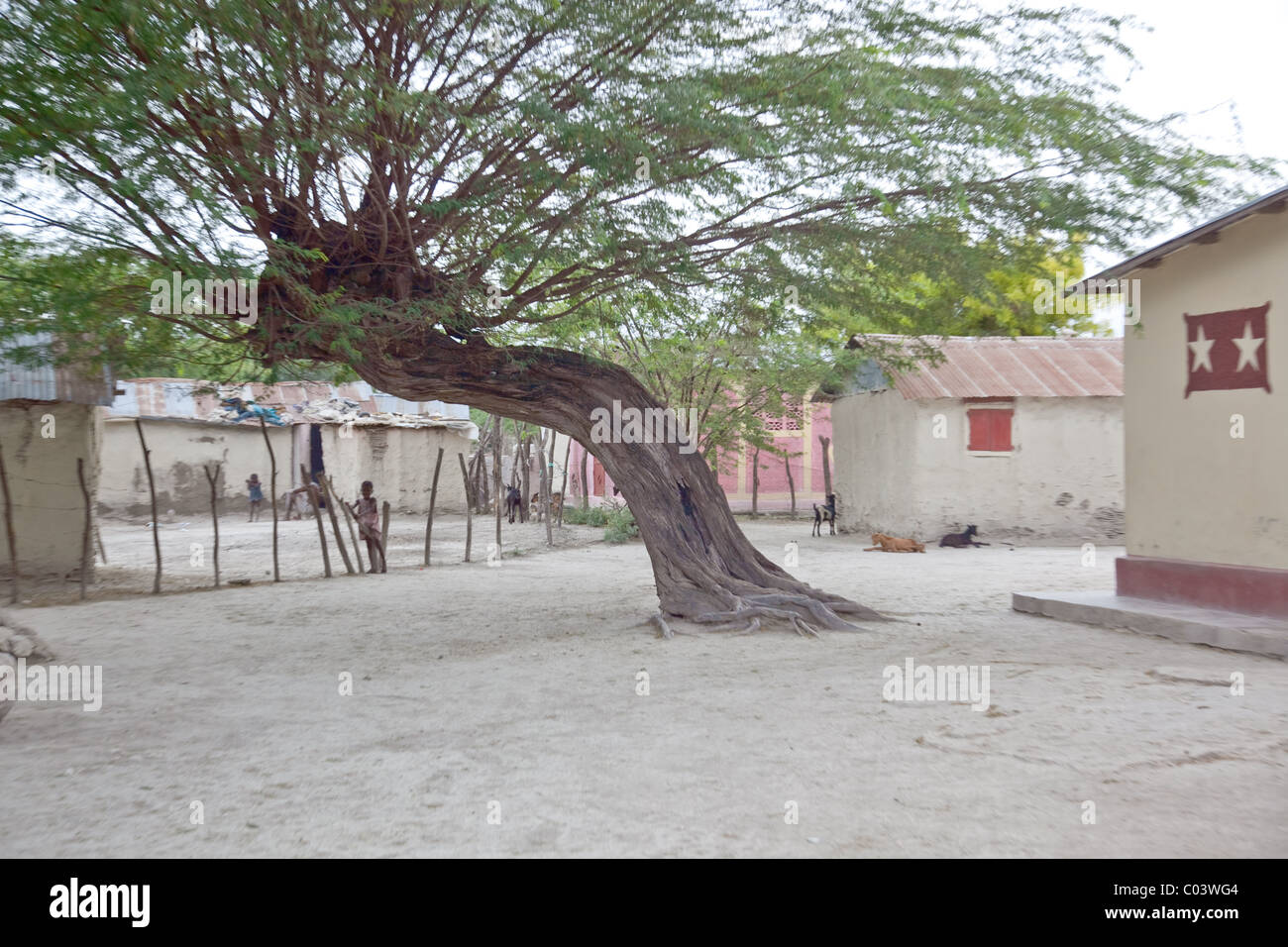 Haitian rural hi-res stock photography and images - Alamy