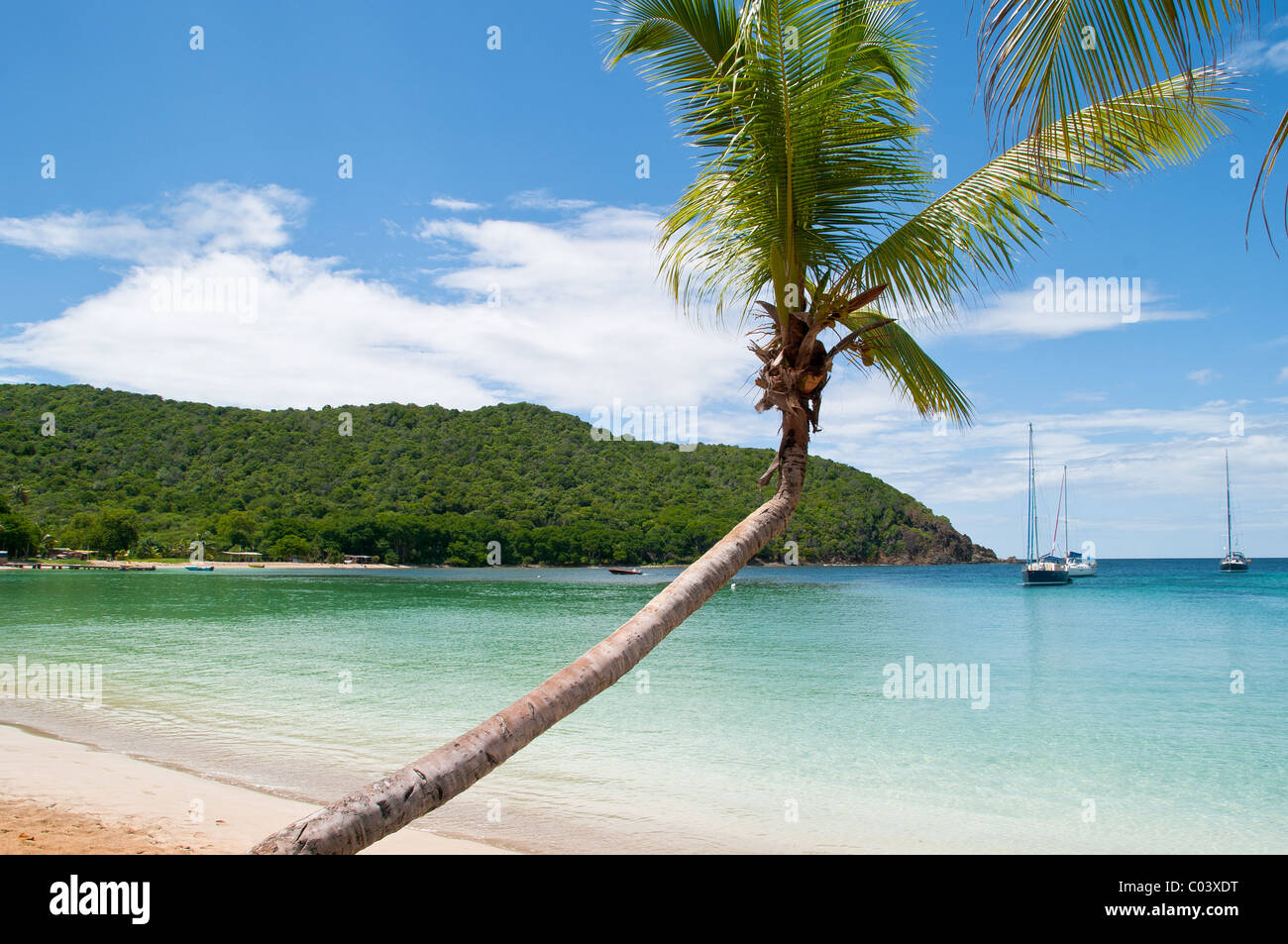 Tropical beach in the Grenadines Stock Photo - Alamy