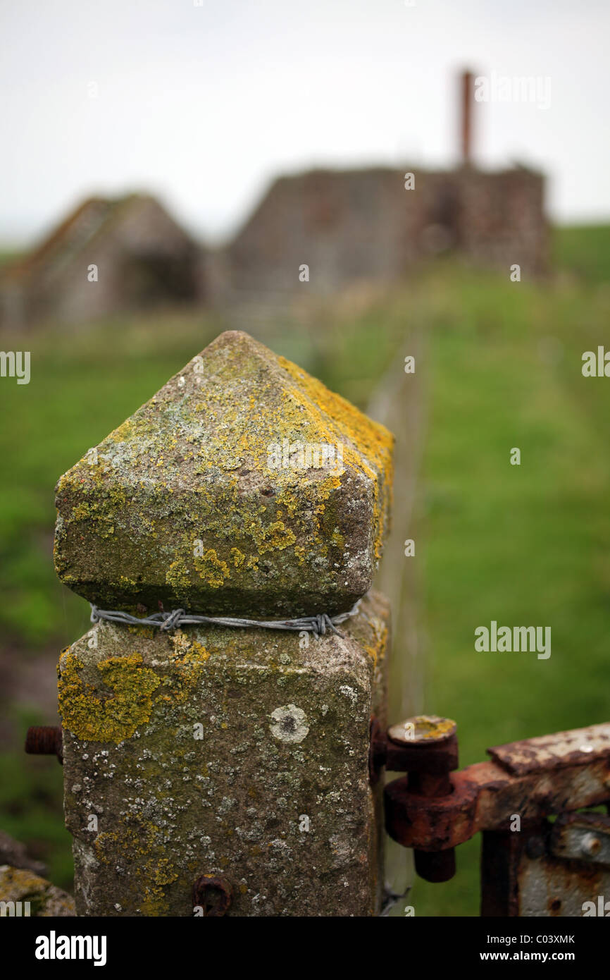 Usan scotland hi-res stock photography and images - Alamy