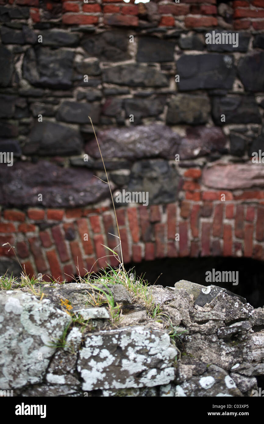 Usan scotland hi-res stock photography and images - Alamy