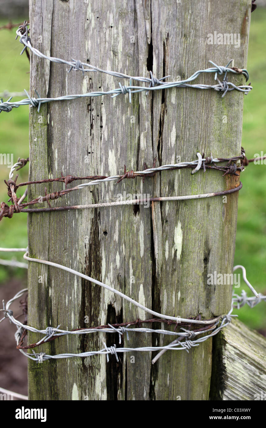 Usan field hi-res stock photography and images - Alamy