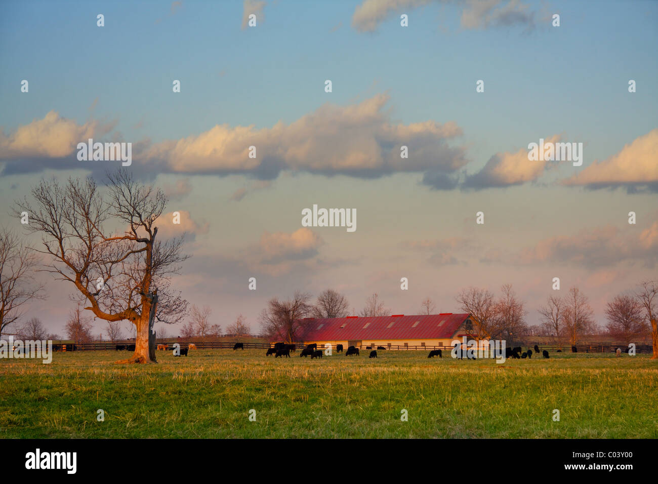 Kentucky landscape hi-res stock photography and images - Alamy