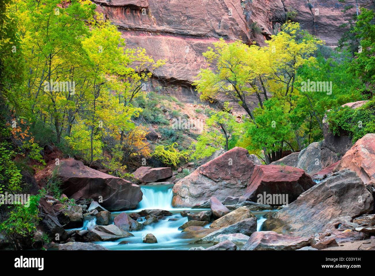Fall colors and small falls along Virgin River. Zion National Park ...