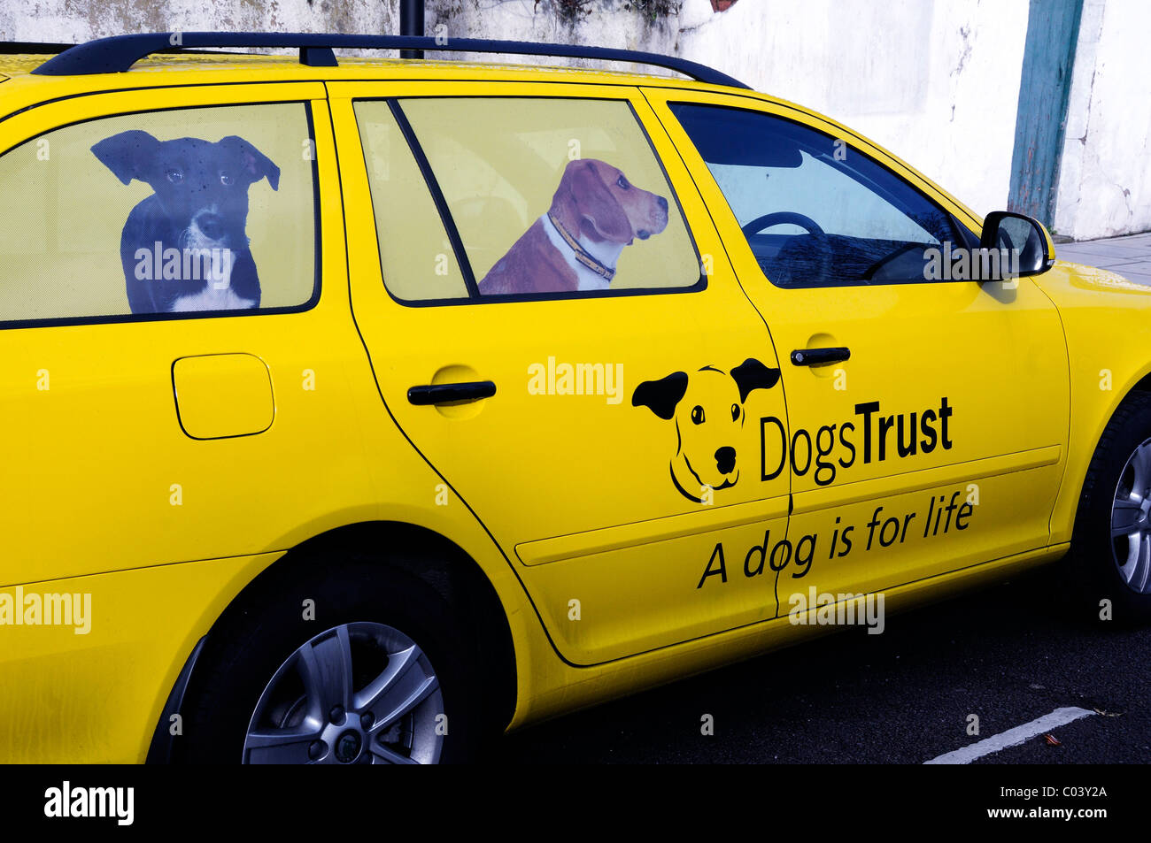 Yellow car with Dogs Trust on the side Stock Photo - Alamy