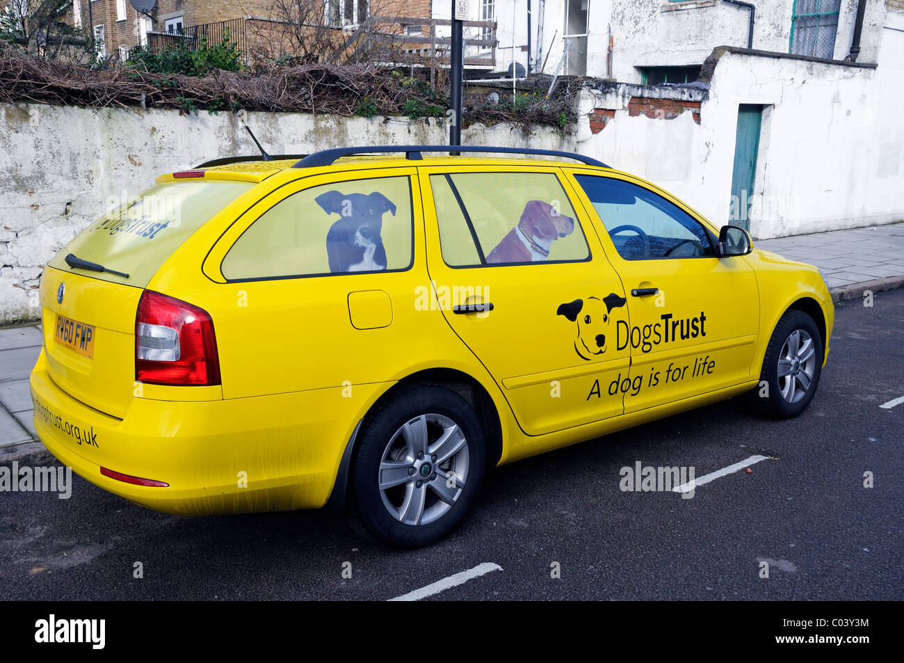 Yellow car with Dogs Trust on the side Stock Photo - Alamy