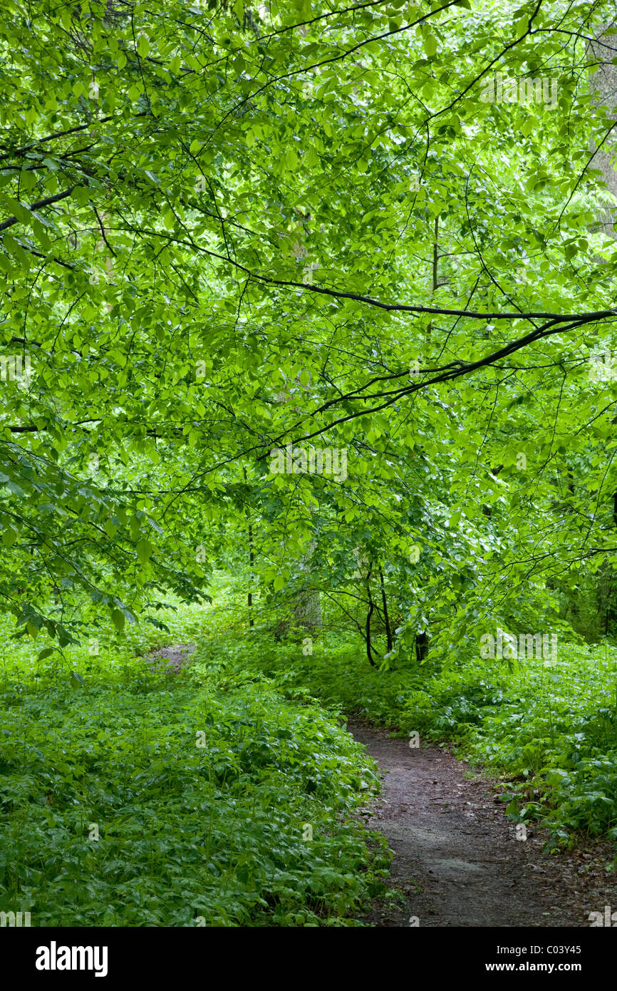 Springtime trail walk hi-res stock photography and images - Alamy