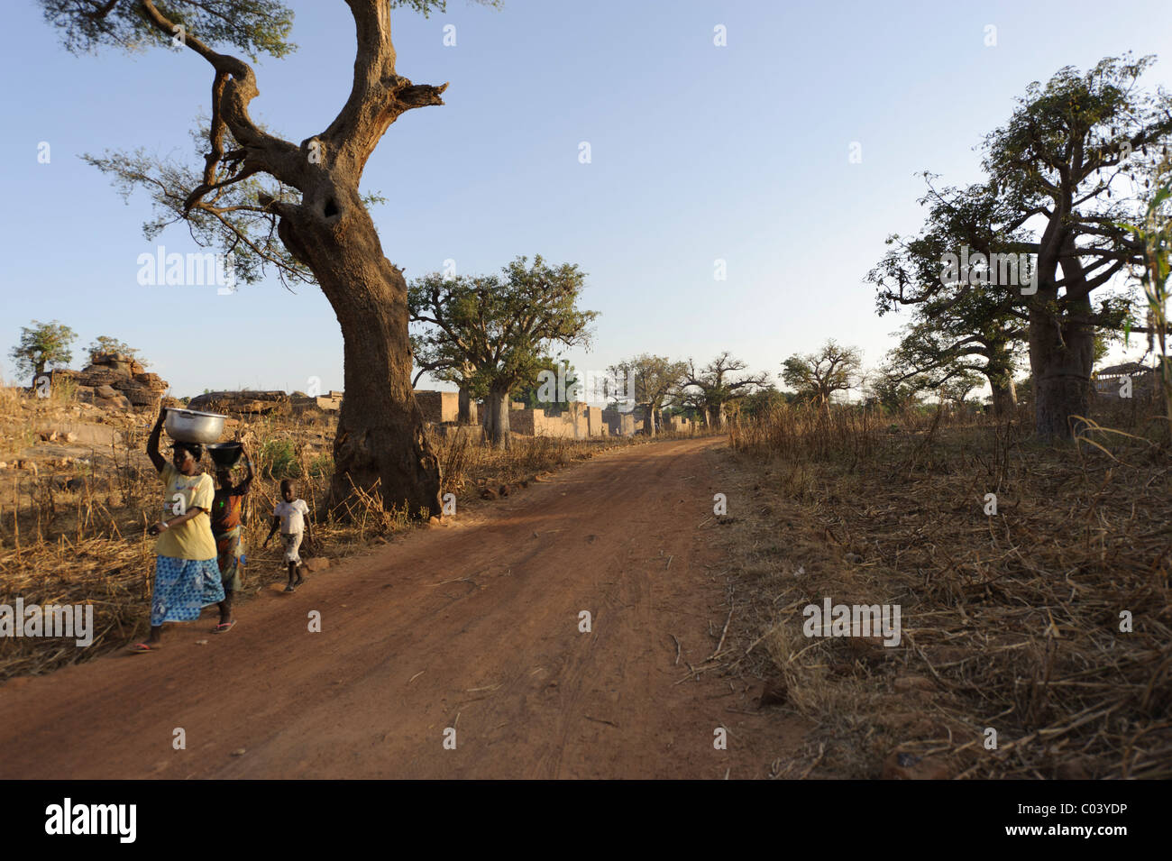 Dust road leading to the village of Sangha on the Dogon Plateau. Mali ...