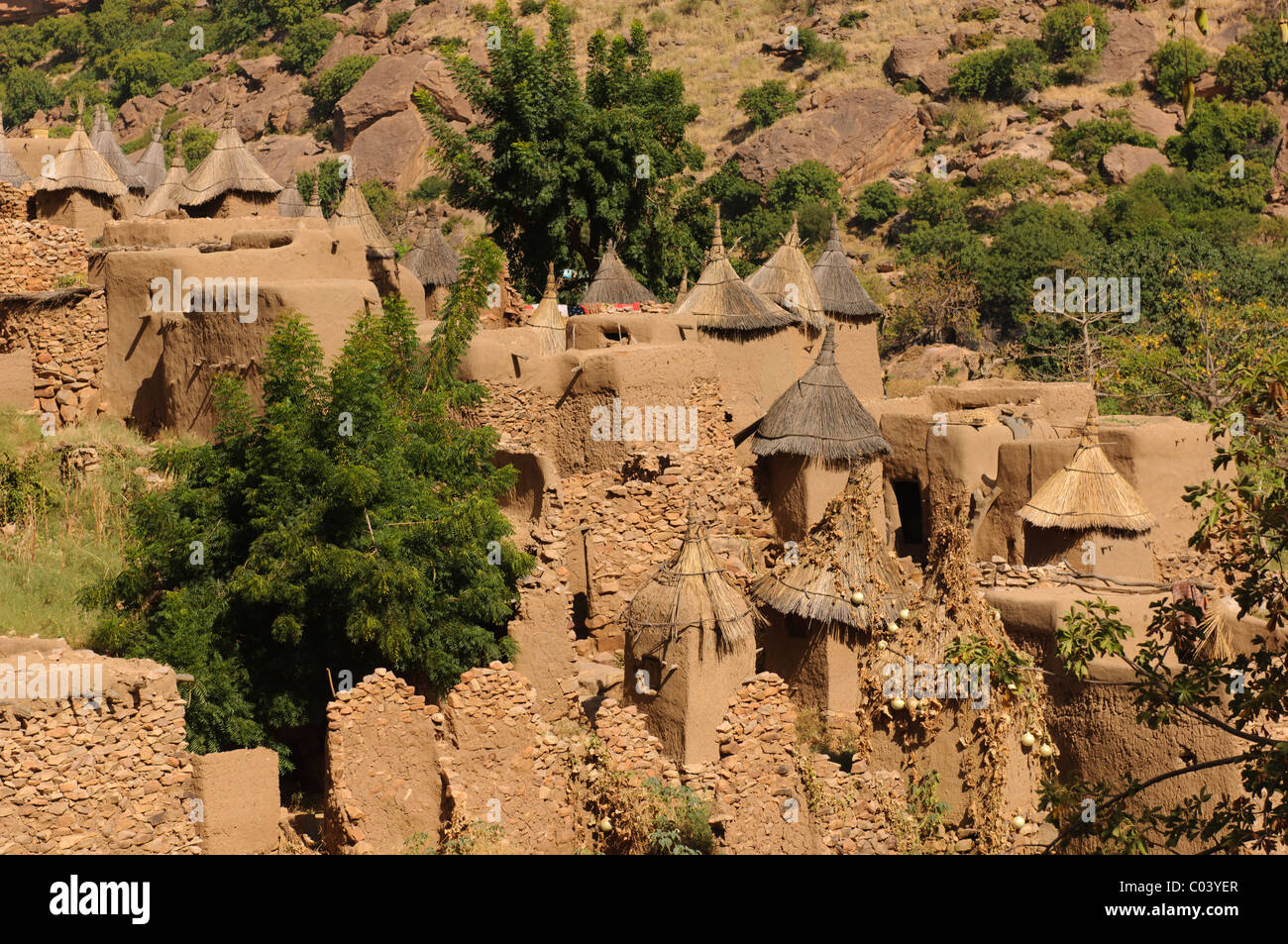 Detail of the Dogon village of Tiogou on the Bandiagara Escarpment ...