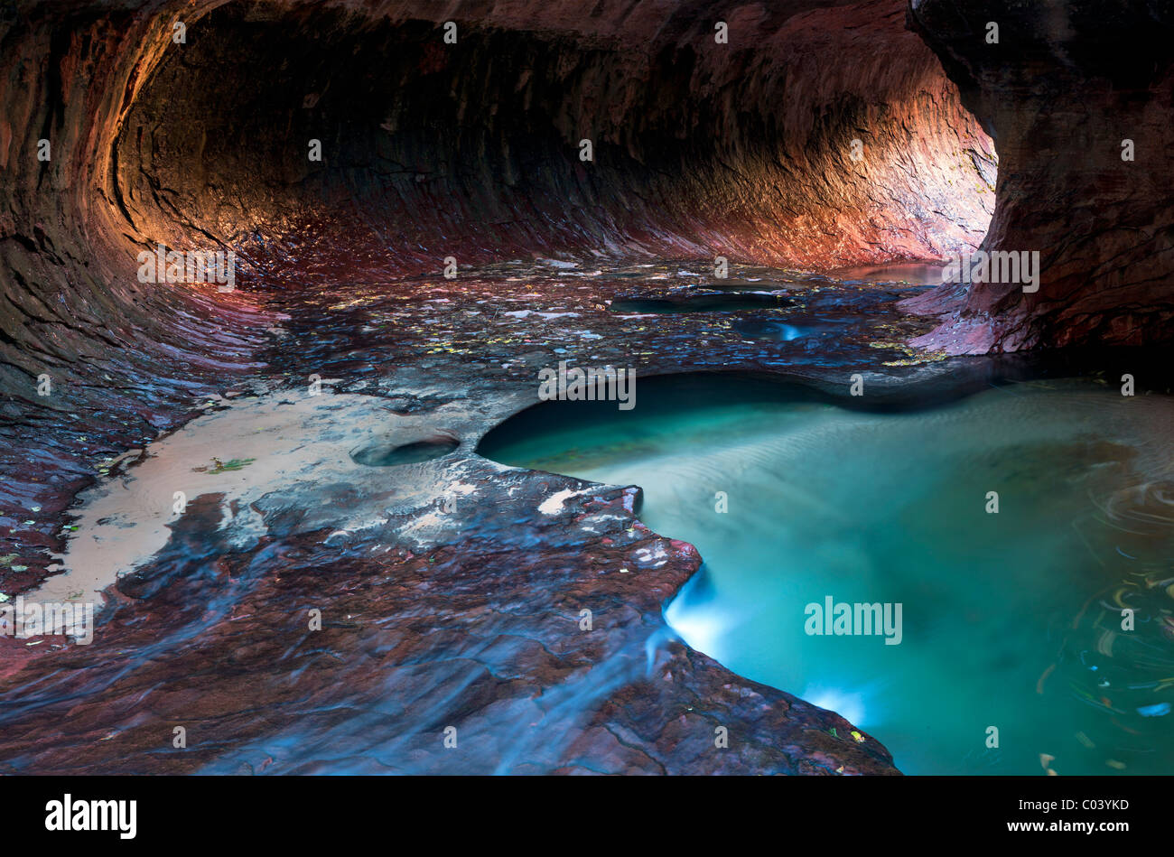 The Subway. Left Fork of North Creek. Zion National Park, Utah Stock ...