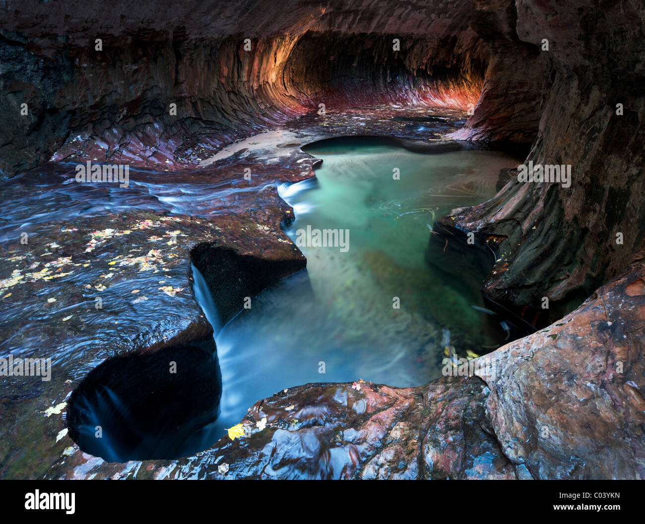 The Subway. Left Fork of North Creek. Zion National Park, Utah Stock ...