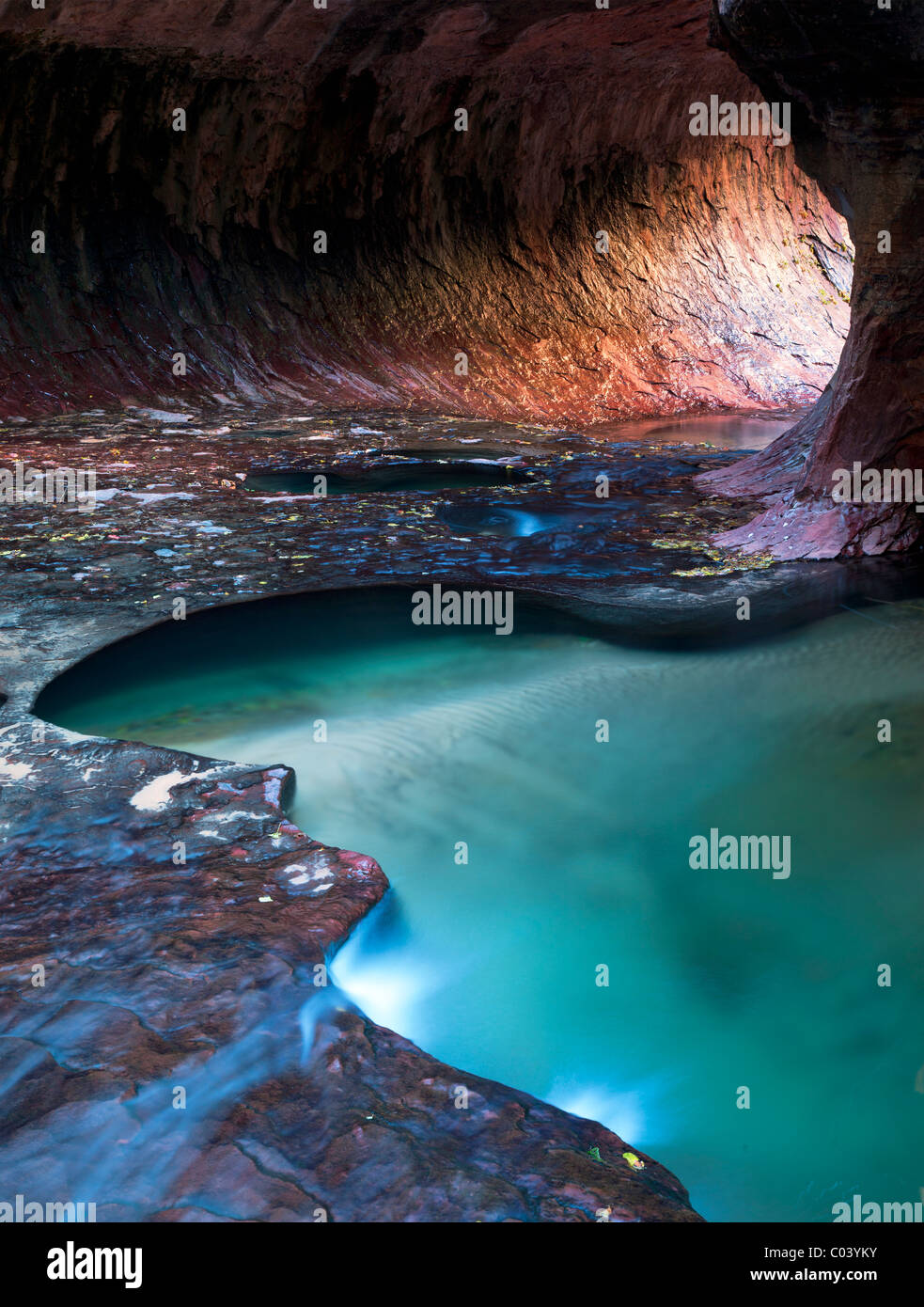 The Subway. Left Fork of North Creek. Zion National Park, Utah Stock ...