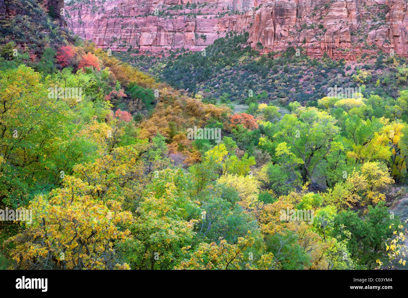 Barren deserts hi-res stock photography and images - Alamy