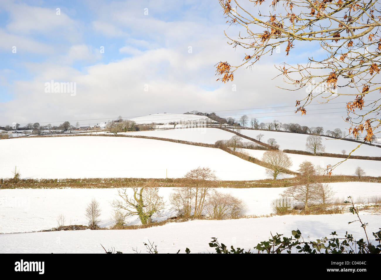 Southleigh devon england hi-res stock photography and images - Alamy