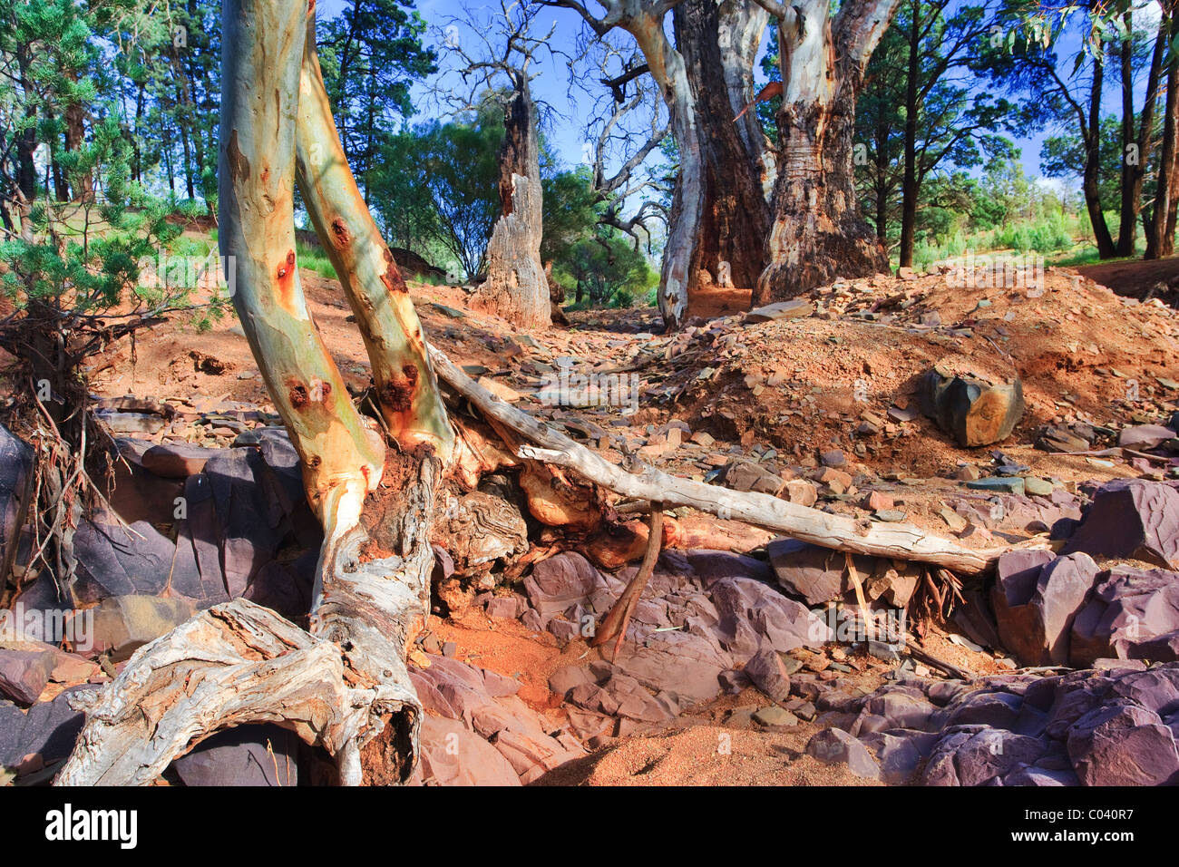 Flinders ranges australia creek hi-res stock photography and images - Alamy