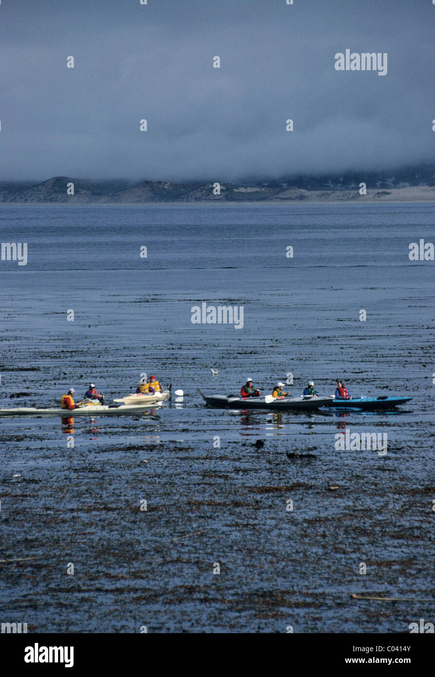 Sea Kayaking, sea kayak, Monterey, California Stock Photo - Alamy