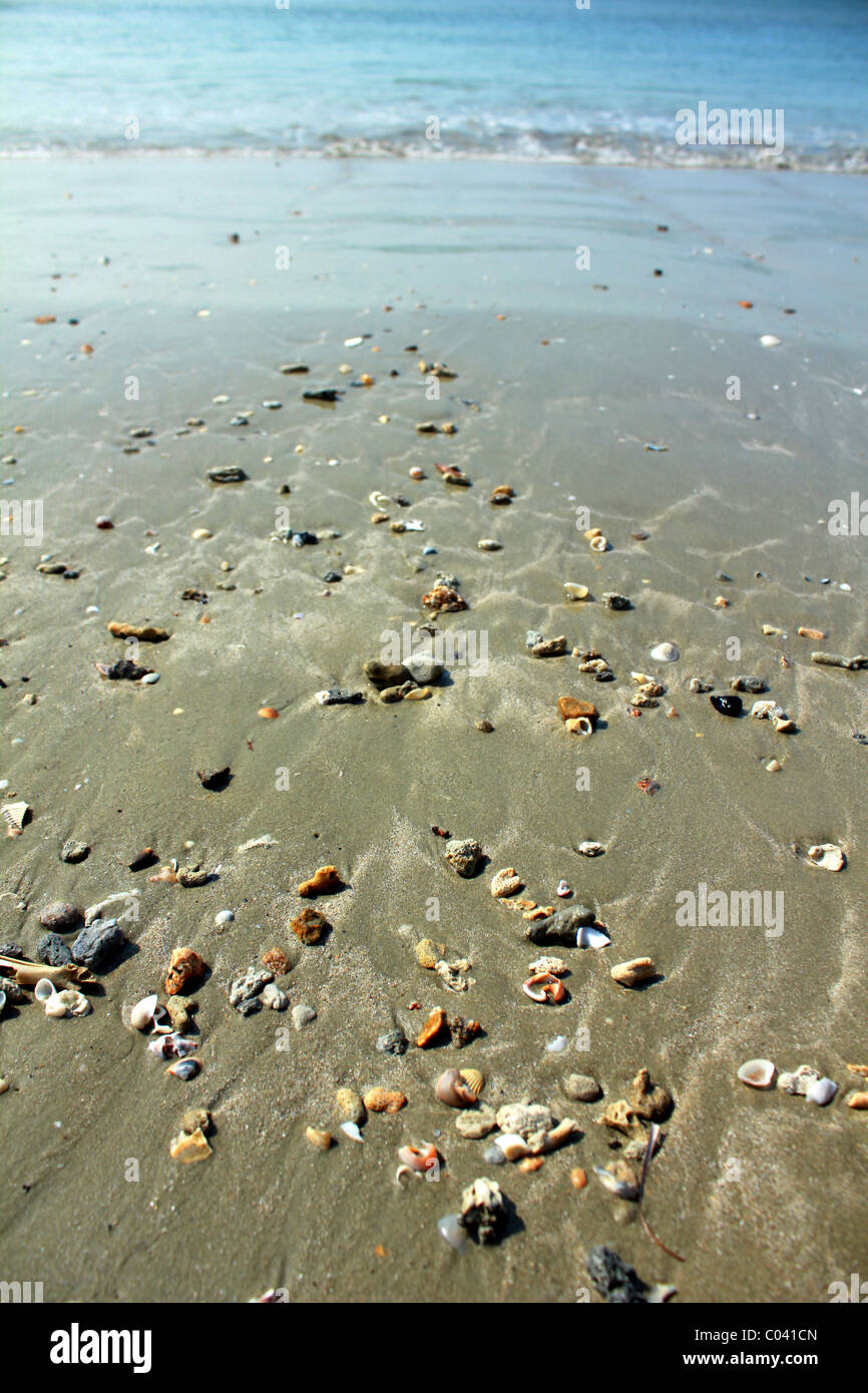 Small stones and seashells by the beach in Sanya Bay Stock Photo - Alamy