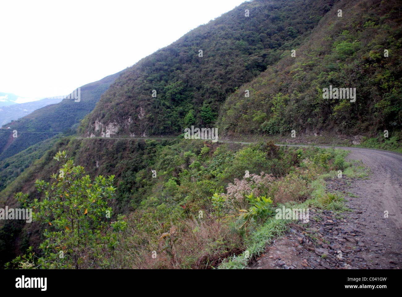 The yungas of bolivia hi-res stock photography and images - Alamy