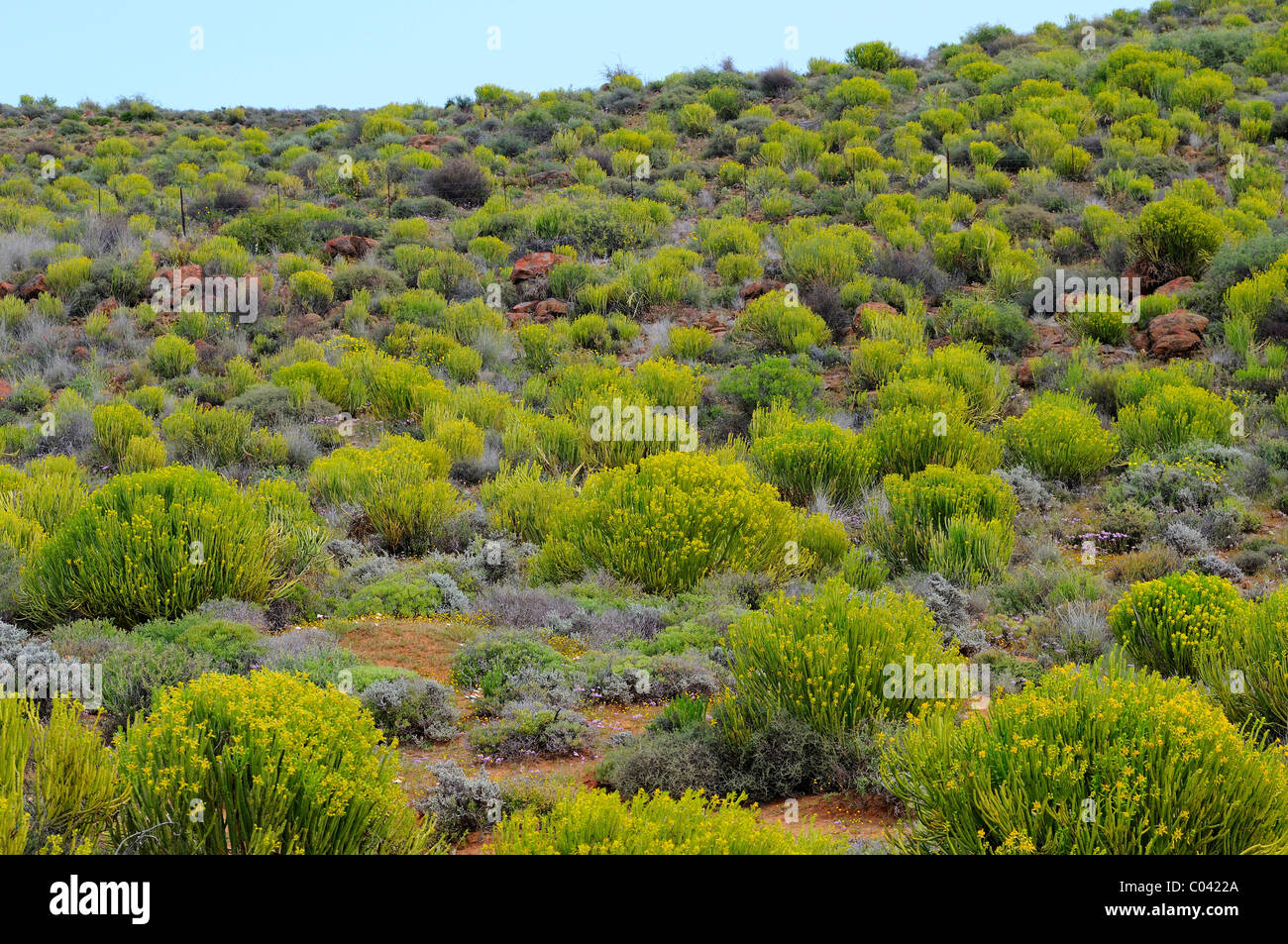 Karoo landscape hi-res stock photography and images - Alamy