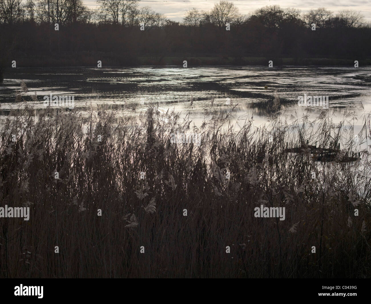 arrow valley country park redditch Stock Photo - Alamy