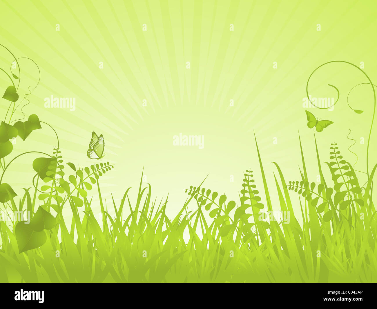 Spring landscape with grasses, vines, butterflies and subtle light rays ...