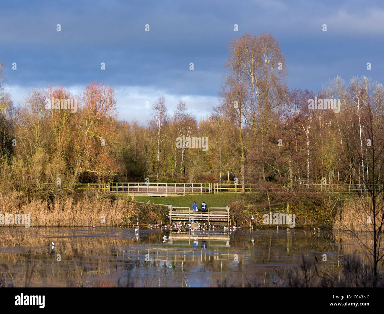 arrow valley country park redditch Stock Photo - Alamy
