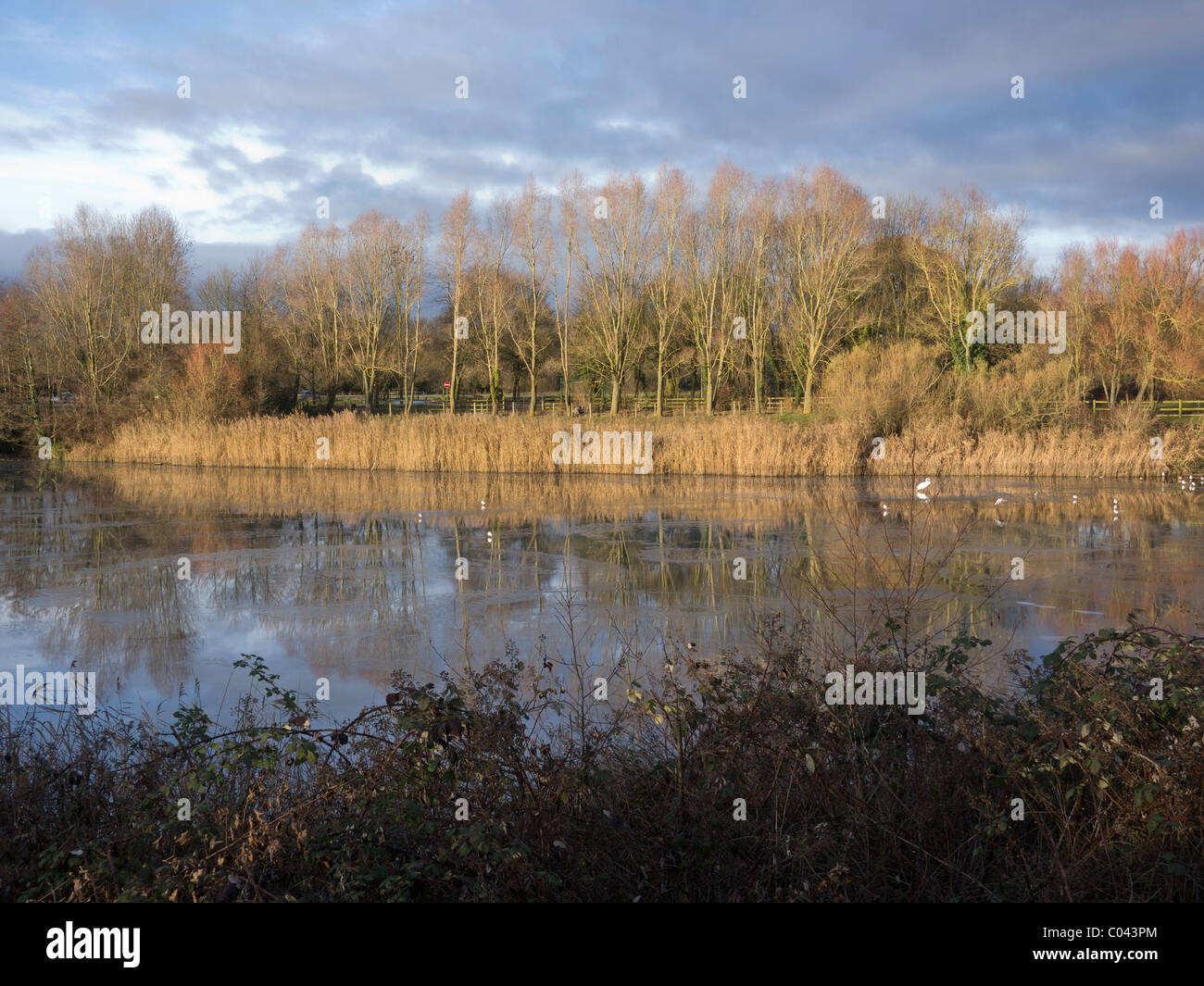 arrow valley country park redditch Stock Photo - Alamy