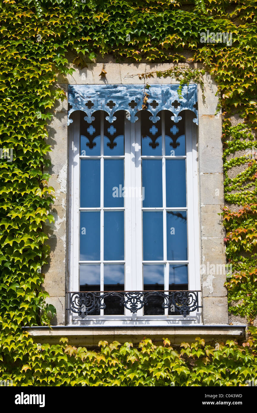 Creeper window hi-res stock photography and images - Alamy
