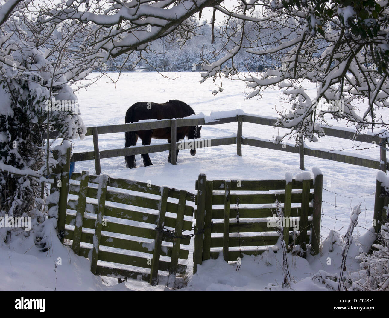 snow winter cold freezing december Stock Photo - Alamy