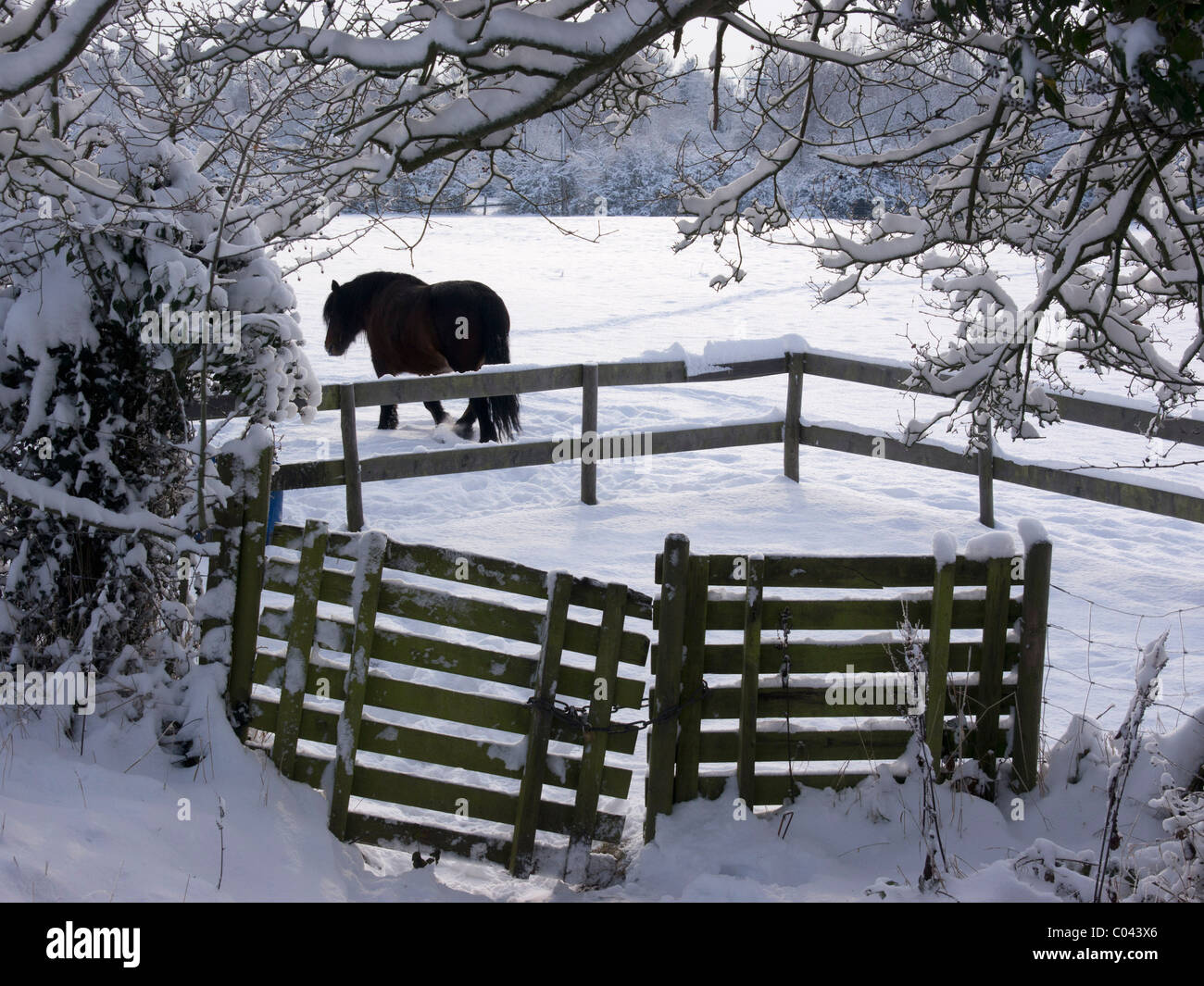 snow winter cold freezing december Stock Photo - Alamy