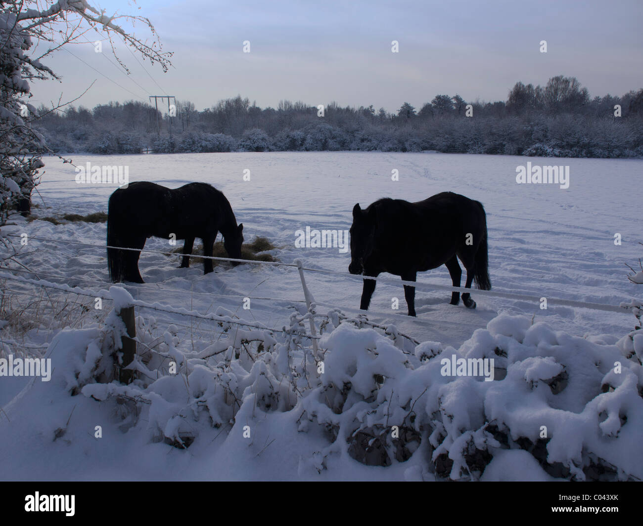 snow winter cold freezing december Stock Photo - Alamy