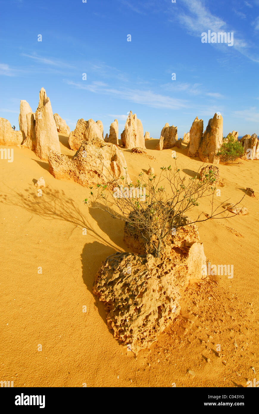 The Pinnacles desert, Nambung National Park, Western Australia Stock ...