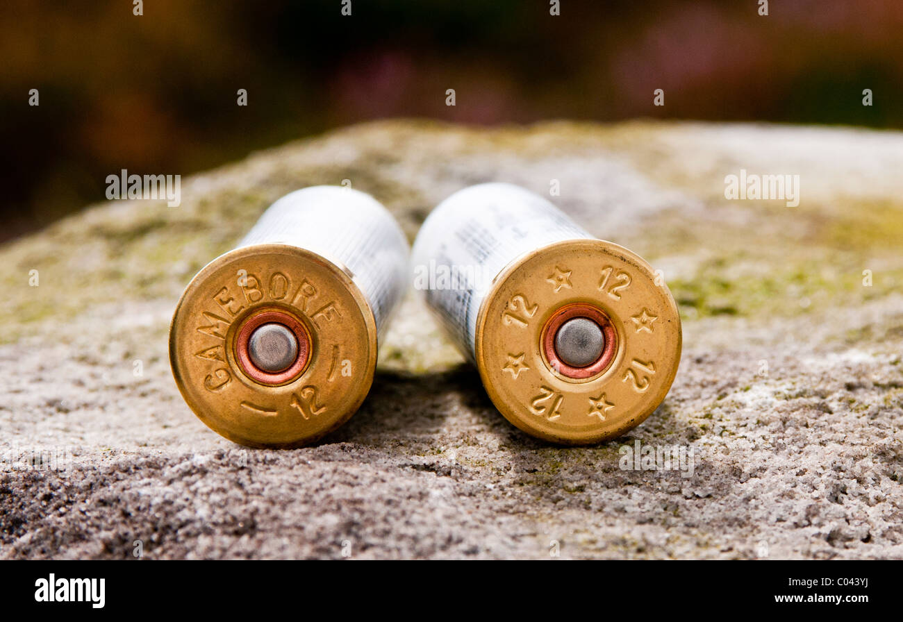 Two barrel shotgun hi-res stock photography and images - Alamy