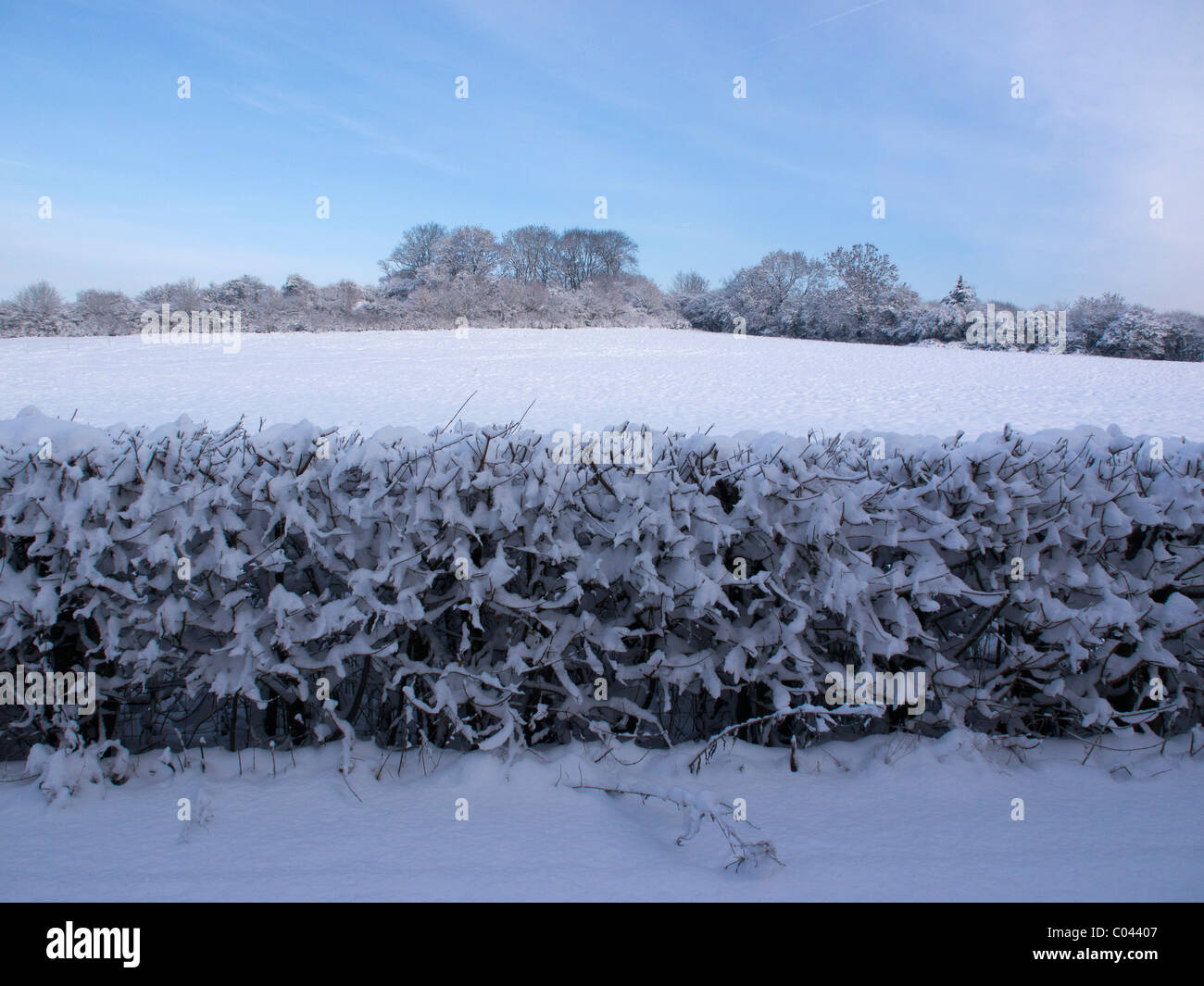 snow winter cold freezing december Stock Photo - Alamy