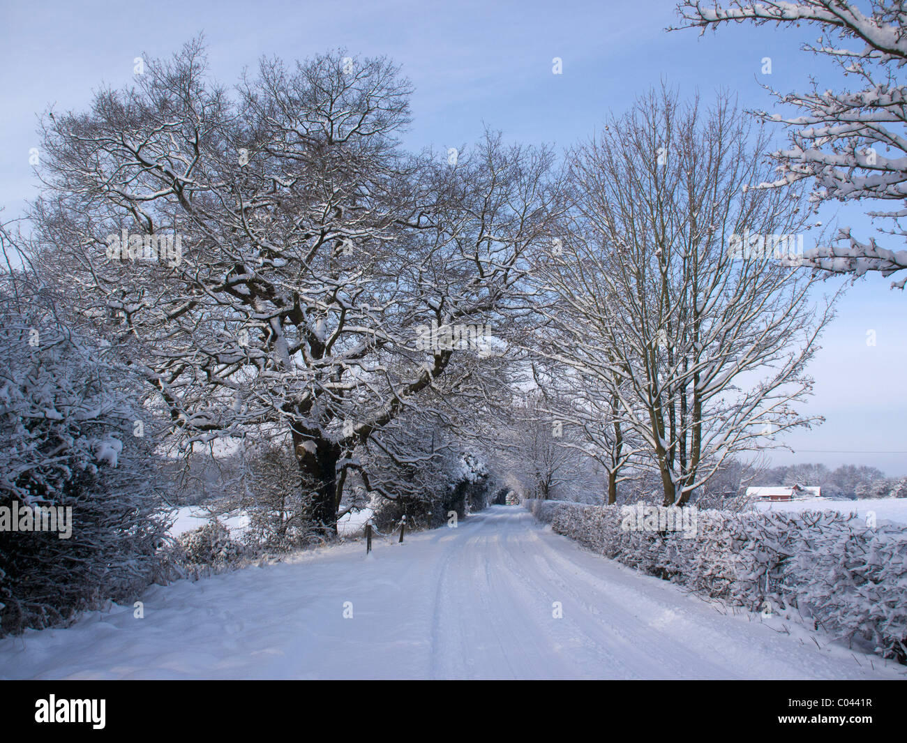 snow winter cold freezing december Stock Photo - Alamy